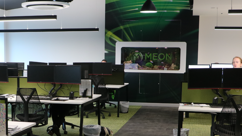 Join the Team – Meon-UK